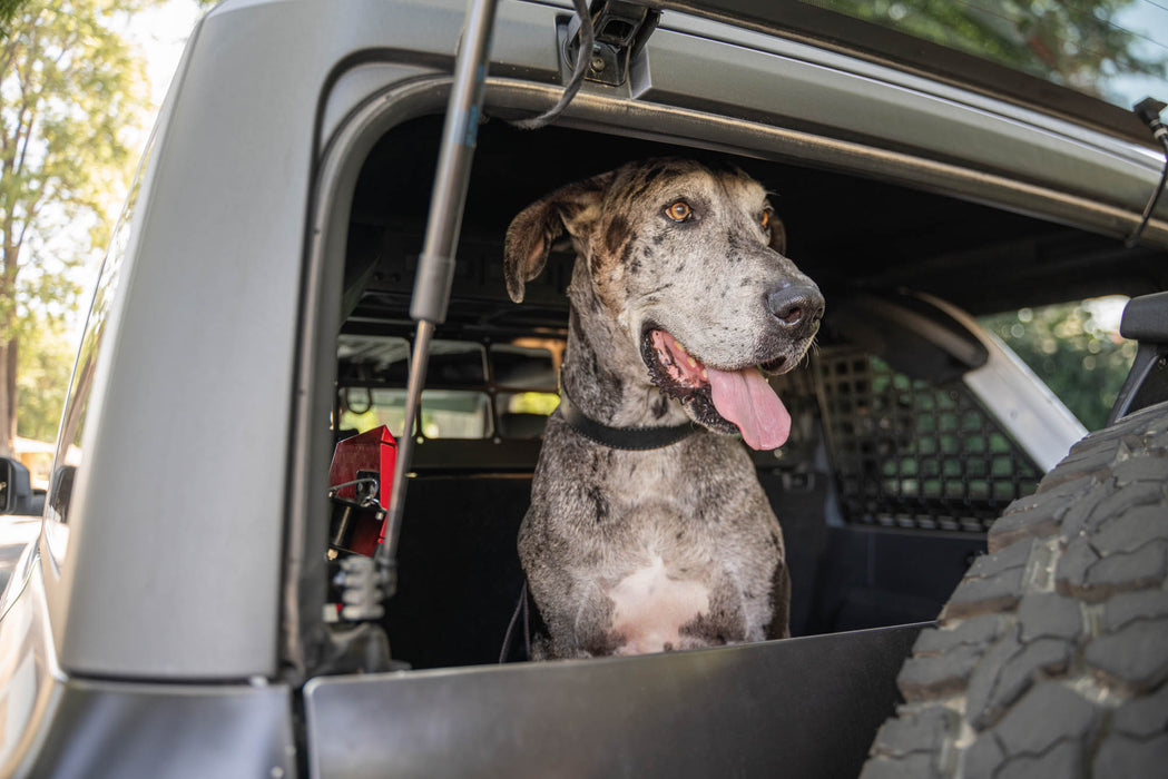 DV8 Offroad 2021-2024 Ford Bronco Dog Barrier - eliteracefab.com