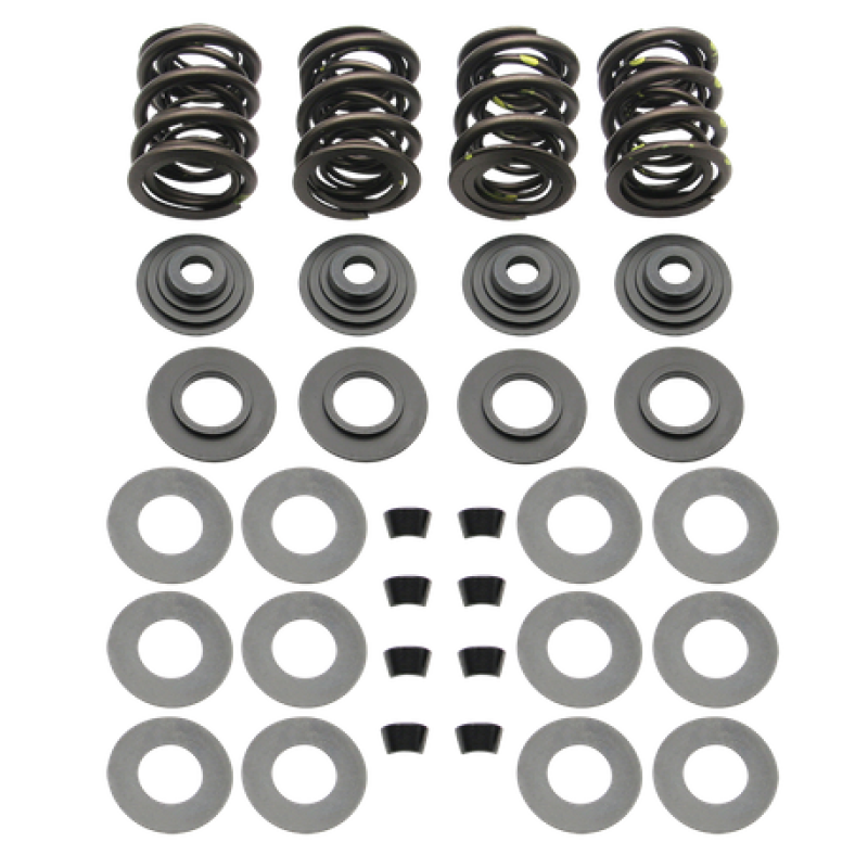 S&S Cycle 81-84 BT Triple Valve Spring Kit - SSC90-2063