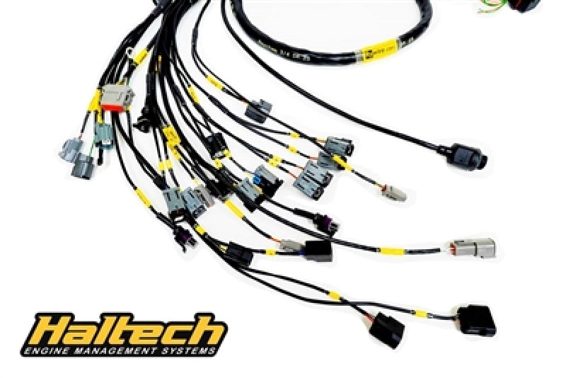 Rywire Honda K-Series (w/Haltech Elite 1500+) Eng Harn w/OBD2 Alt/EV14
